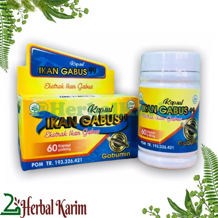 Jual KAPSUL IKAN GABUS 99 GABUMIN - 60 KAPSUL - KAPSUL HERBAL KAYA ...