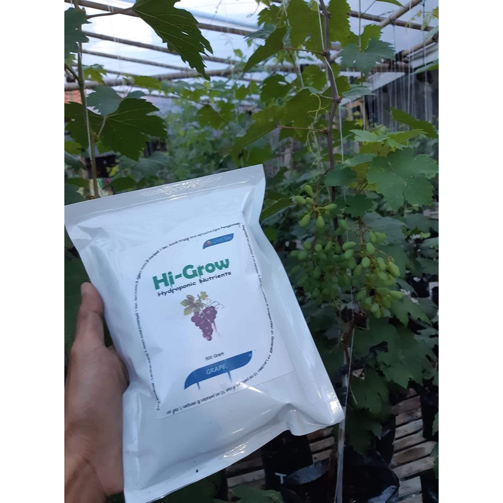 Jual Pupuk AB MIX Anggur, Nutrisi Buah Anggur HiGrow, Pupuk anggur By ...