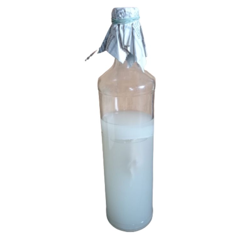 Jual Starter Bibit Acetobacter xylinum Nata de Coco Kemasan Botol 500 ...