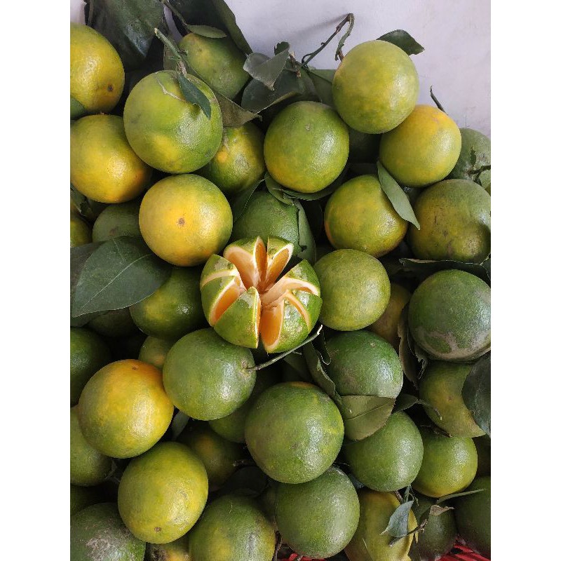 Jual jeruk baby java 1 kg | Shopee Indonesia