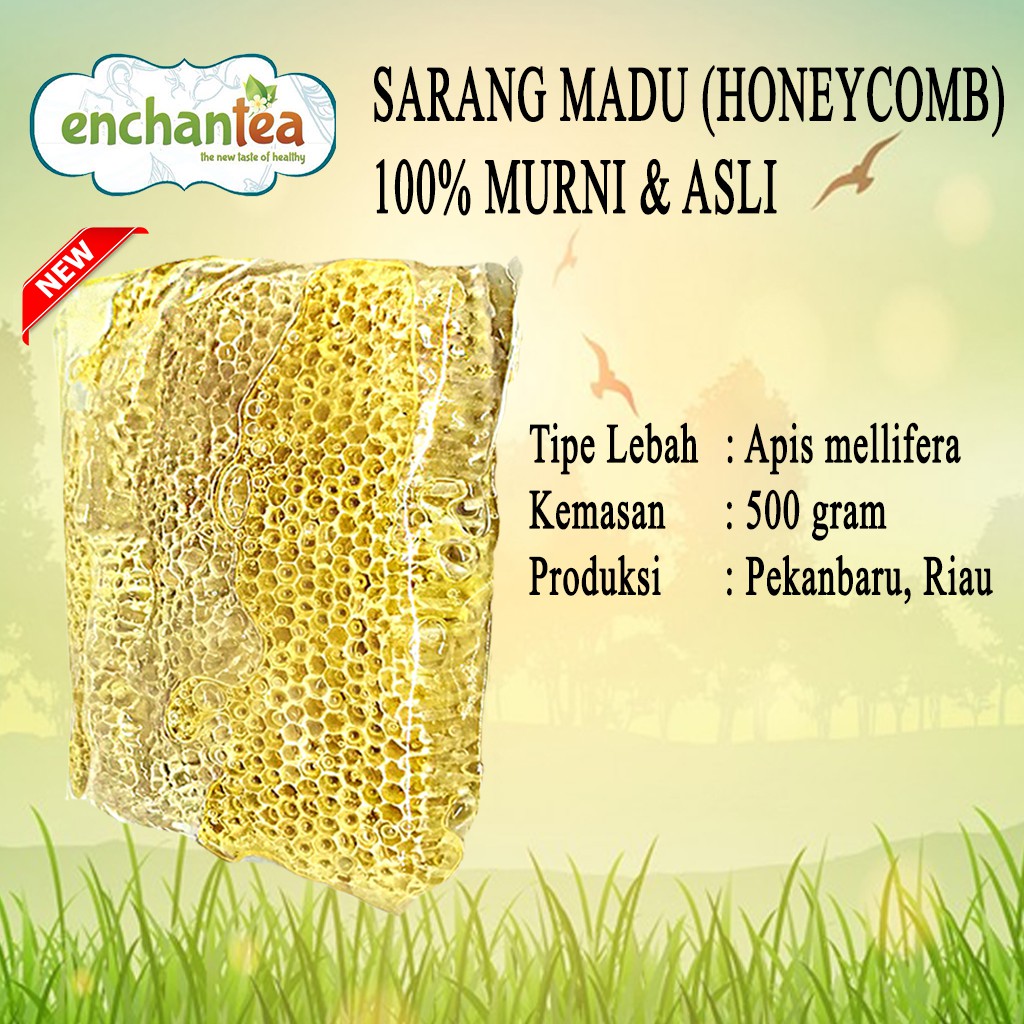 Jual Sarang Madu / Honeycomb Apis Mellifera ASLI - 500 gram | Shopee ...
