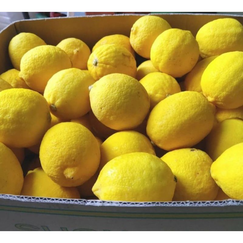 Jual BUAH JERUK LEMON IMPORT FRESH 500 GRAM | Shopee Indonesia