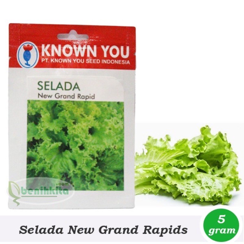 Jual BENIH SELADA KYS KNOWN YOU SEED NEW GRAND RAPID 5 GRAM KEMASAN PABRIK | Shopee Indonesia