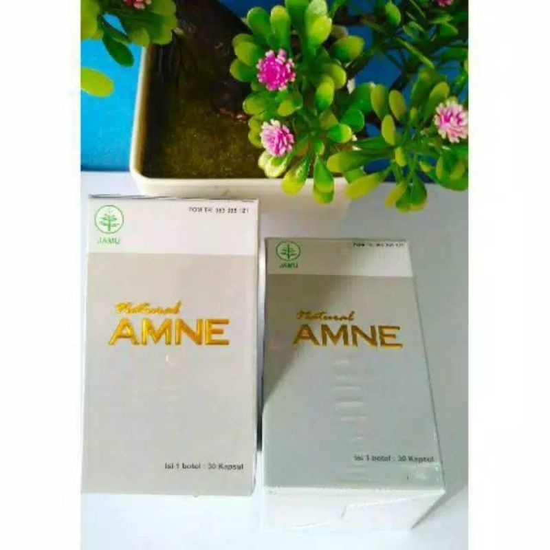 Jual AMNE NASA PENAMBAH BERAT BADAN | Shopee Indonesia