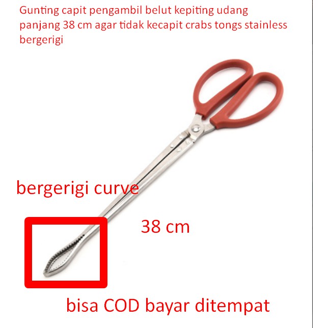 Jual Gunting capit pengambil belut kepiting udang panjang 38 cm agar ...