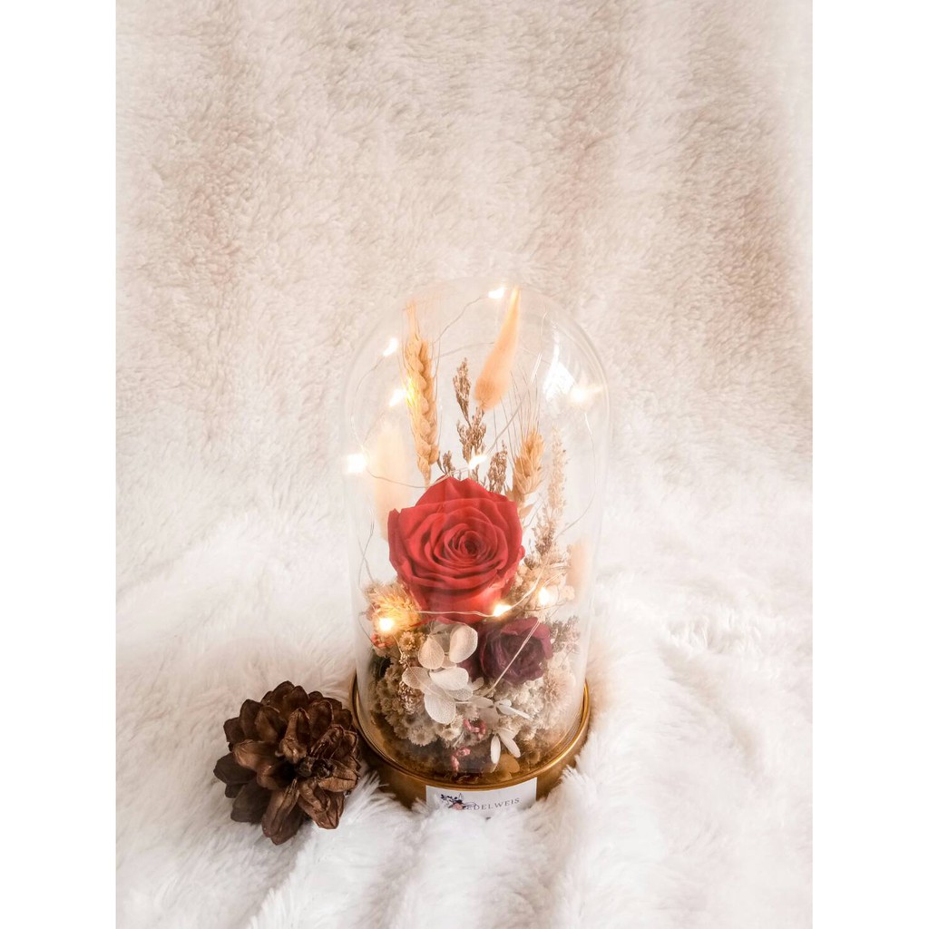 Jual FLOWERS DOME/ BUNGA DALAM TABUNG / DRIED FLOWERS DOME | Shopee ...