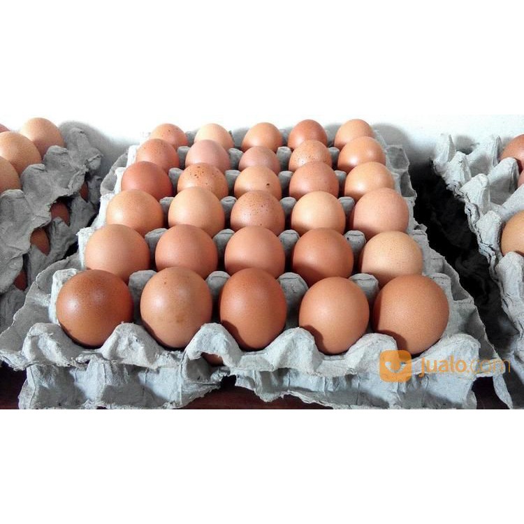 Jual TELUR AYAM NEGERI CURAH / KG | Shopee Indonesia