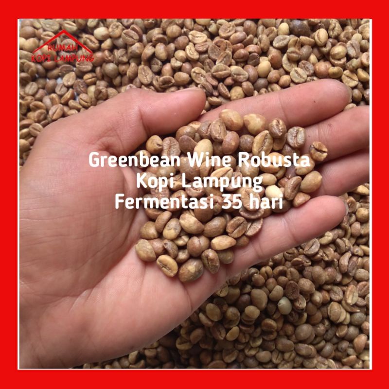 Jual GREEN BEAN WINE ROBUSTA LAMPUNG 1 KG | Shopee Indonesia