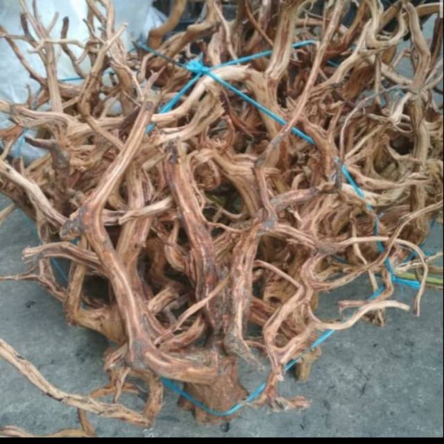 Jual Kayu Rasamala Size L | Shopee Indonesia