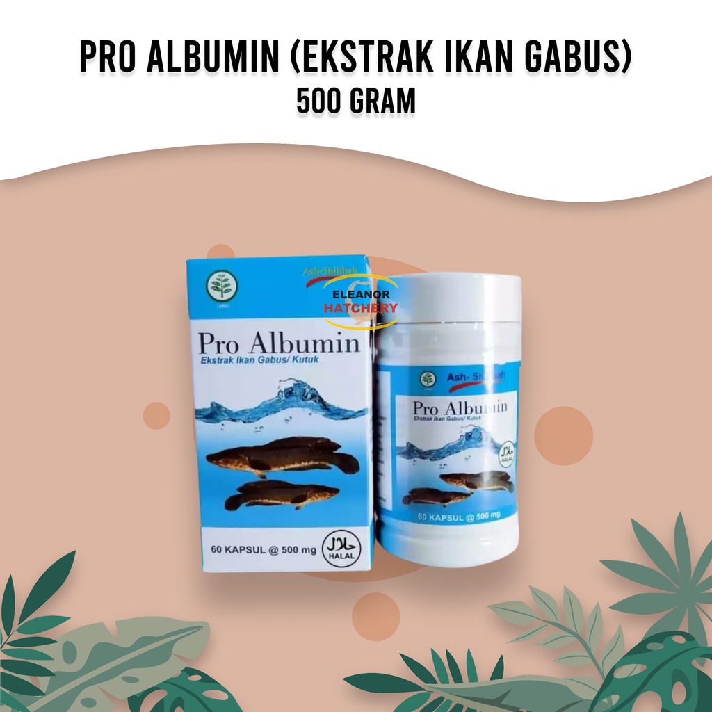 Jual Pro Albumin (Ekstrak Ikan Gabus/Kutuk) | Shopee Indonesia