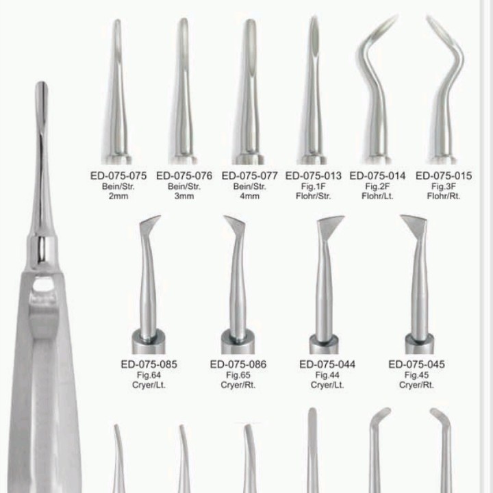 Jual ELITE BEIN DENTAL ROOT ELEVATORS DENTAL INSTRUMENTS STRAIGHT ...
