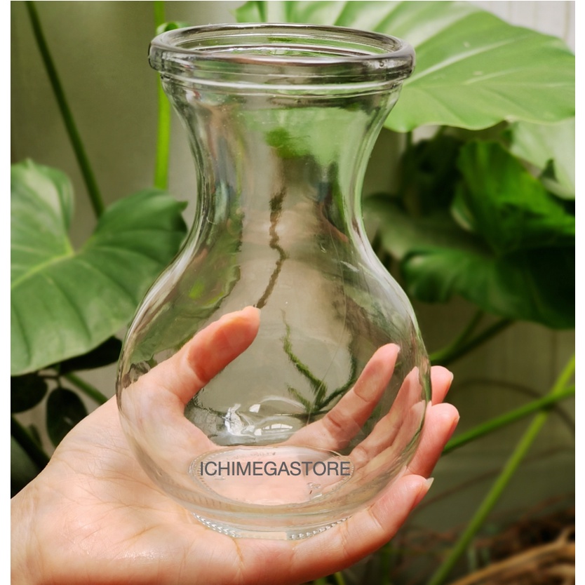 Jual ICHIMEGASTORE Pitcher Kaca Tanpa Gagang 540 ml Teko Non Handle Vas ...