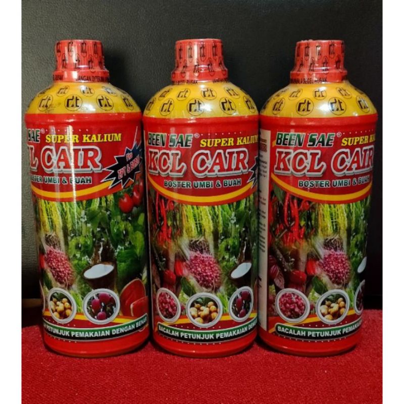 Jual KCL CAIR BEENSAE - 1 LITER | Shopee Indonesia