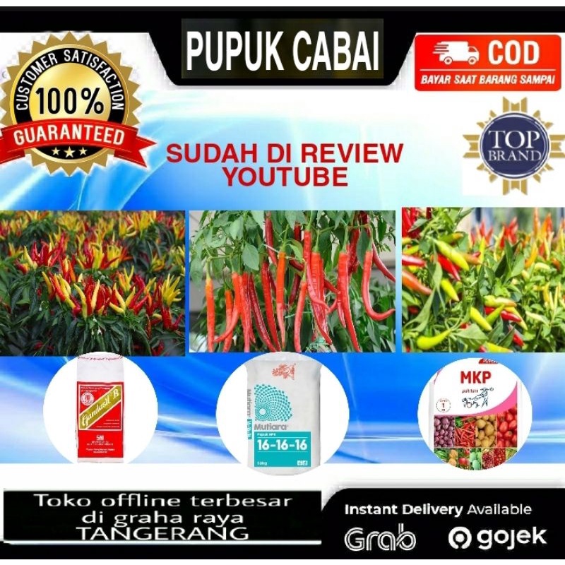 Jual Pupuk Cabai Agar Berbuah Lebat Bonus Benih cabe | Shopee Indonesia