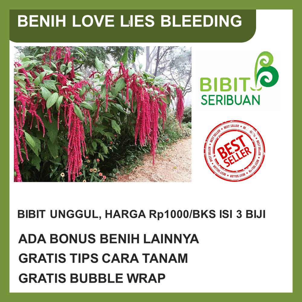 Jual BENIH LOVE LIES BLEEDING BIBTI BUNGA IMPORT | Shopee Indonesia