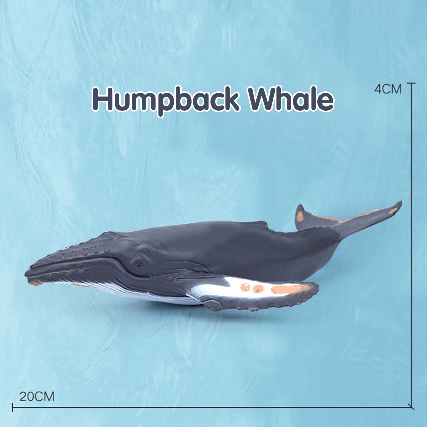 Jual Mainan Simulasi Ikan Paus / Hiu / Lumba-Lumba Figure Whale Mainan ...