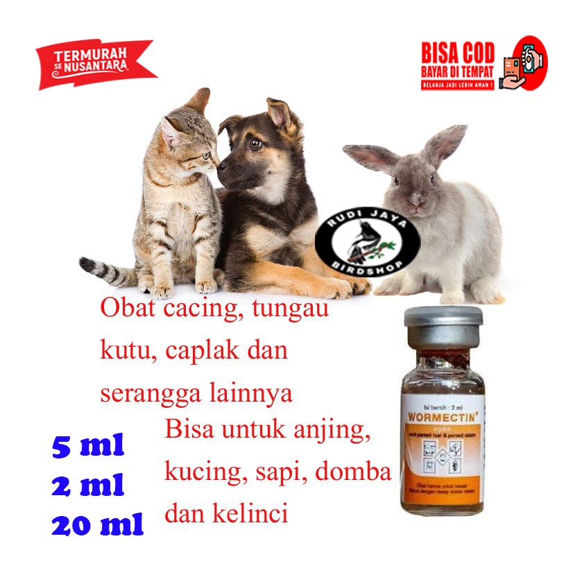 Jual WORMECTIN 2 ML DAN 5 ML MEDION OBAT ANJING KUCING SAPI KAMBING ...