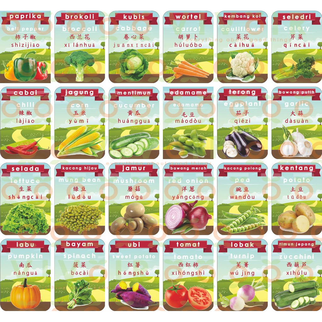 Jual FLASH CARD FRUIT & VEGETABLE REAL PICTURE / KARTU BELAJAR BAYI ...