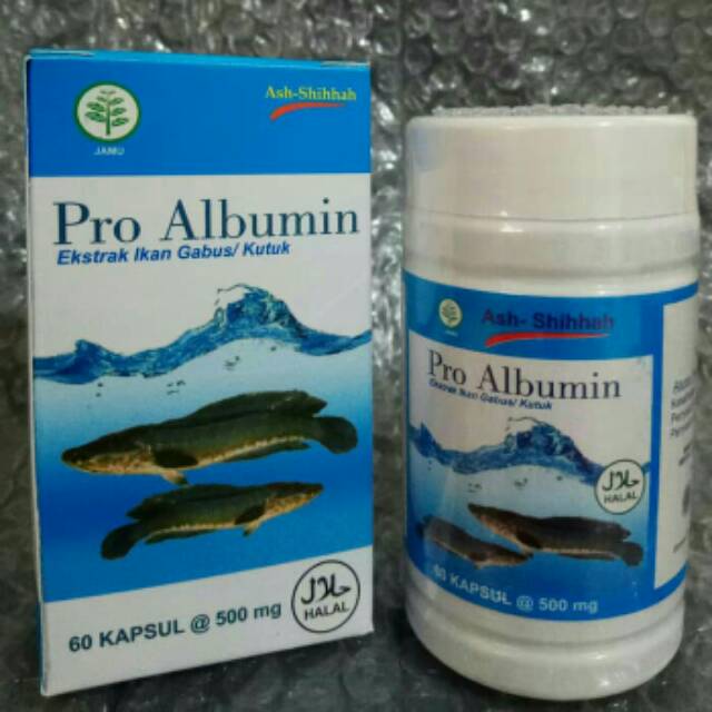 Jual Penyembuhan pasca operasi caesar dan melahirkan (ekstrak ikan gabus pro albumin) | Shopee ...