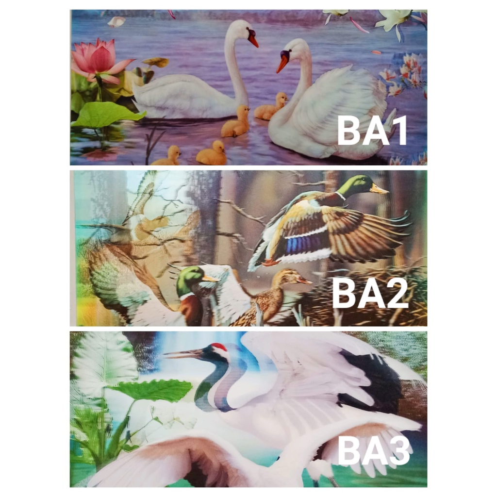 Jual Poster Gambar 3D / 3 Dimensi Bebek dan Angsa 30x40cm | Shopee ...