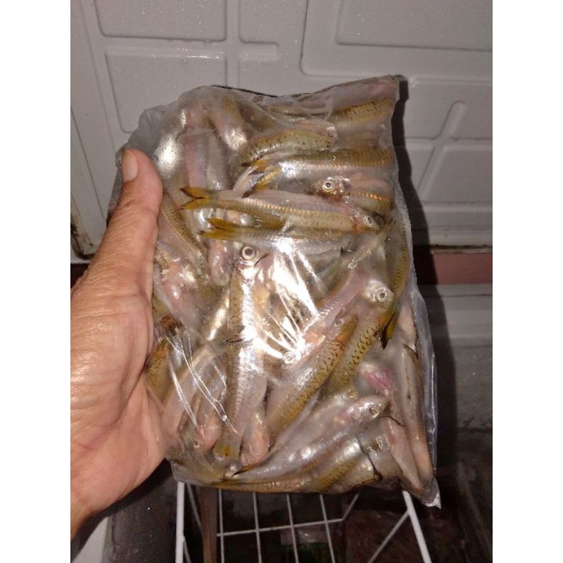 Jual Ikan Seluang Bersih Siap Masak segar Khas Rumah Makan Palembang ...