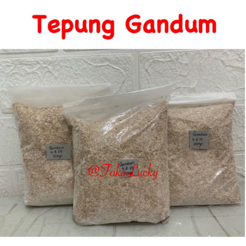 Jual Tepung Gandum 250gr (Puratos) | Shopee Indonesia