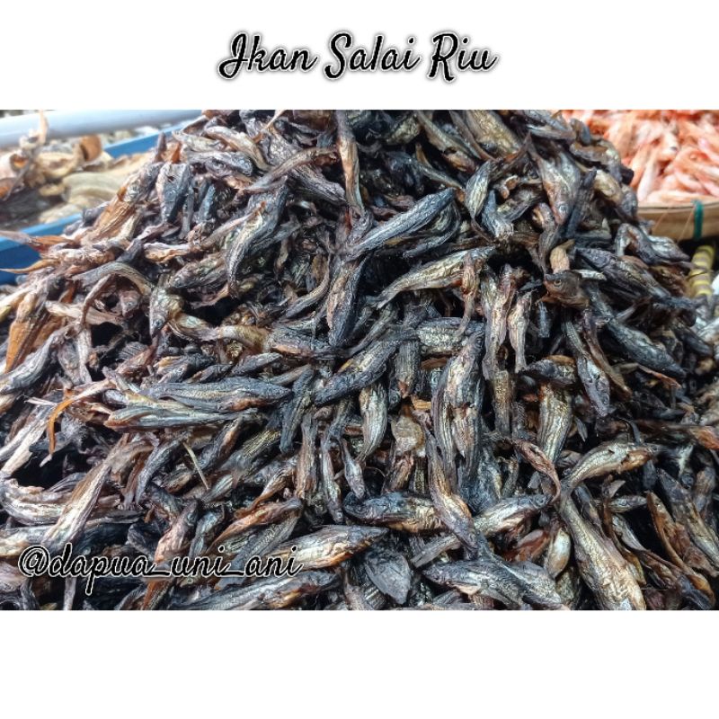 Jual IKAN SALAI RIU / SALAI KECIL / IKAN SALE | Shopee Indonesia