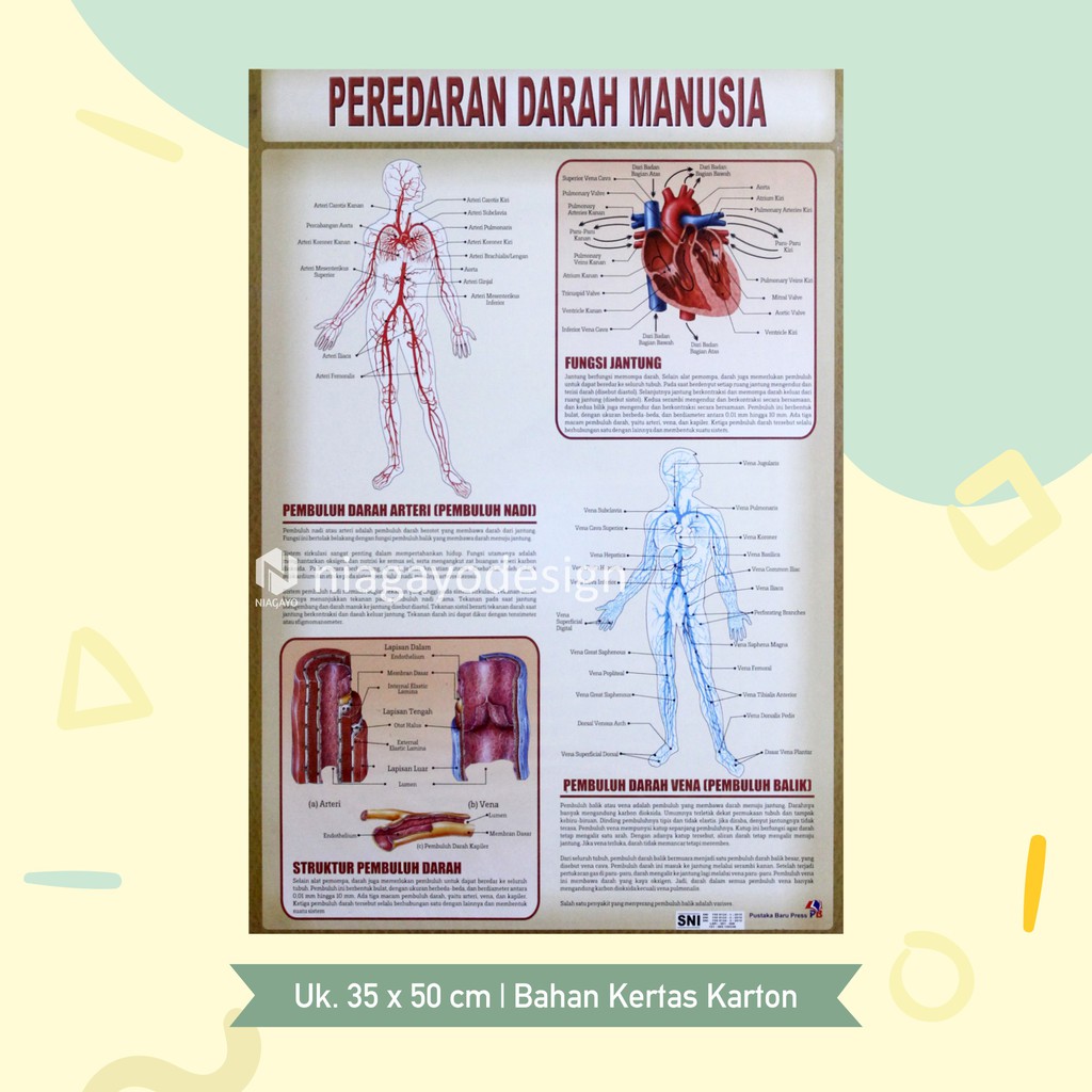 Jual Poster Edukasi Anak / Gambar Edukasi Anak / Poster Belajar Anak ...