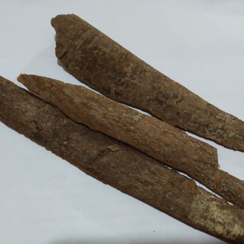 Jual kayu mesoyi/masoyi | Shopee Indonesia