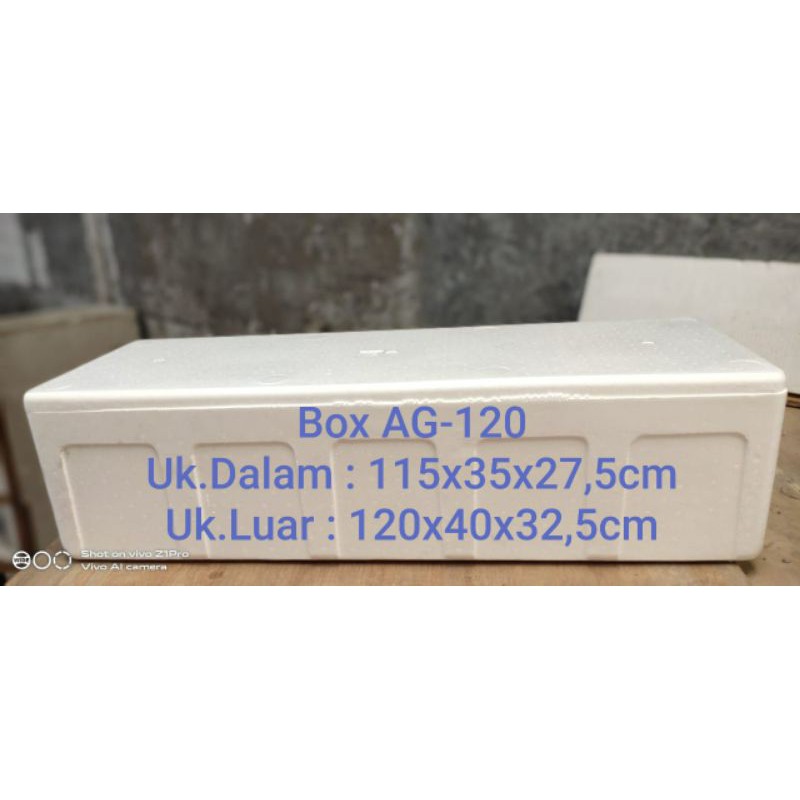 Jual Box Styrofoam Box Gabus AG120 | Shopee Indonesia