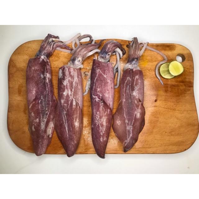 Jual Cumi - Cumi Fresh Besar 1 kg (isi 3 - 5 pcs) | Shopee Indonesia