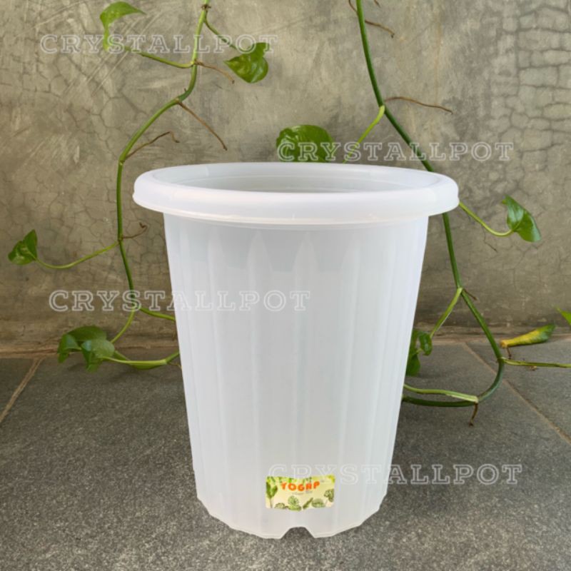 Jual pot bunga tanaman tinggi yogap YPT 13 bening trasparan - bahan ...