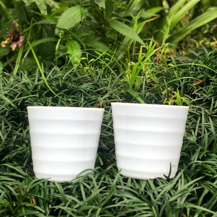 Jual Pot Mado Kecil Lovenia Putih Ukuran 10 Bahan Tebal/Pot Pembibitan ...