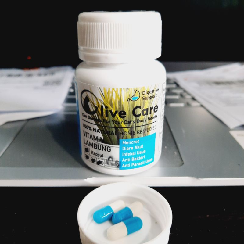 Jual OLIVE CARE LAMBUNG DIARE MENCRET AKUT (ECER 1capsul) | Shopee ...