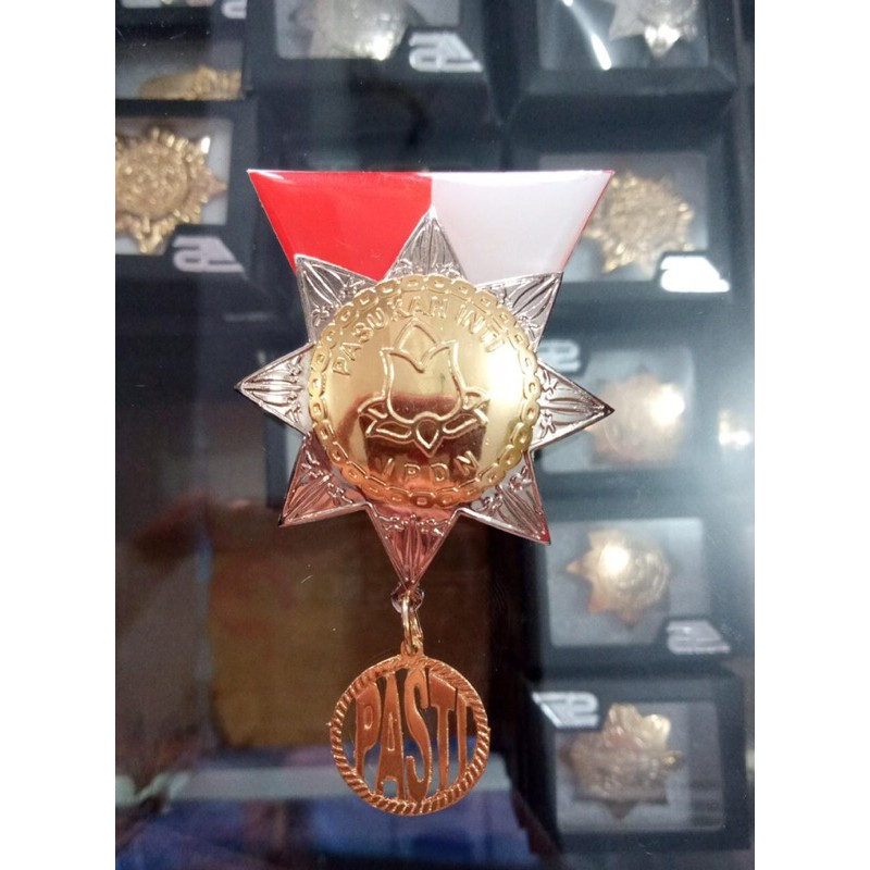 Jual Pin pasti IPDN | Shopee Indonesia