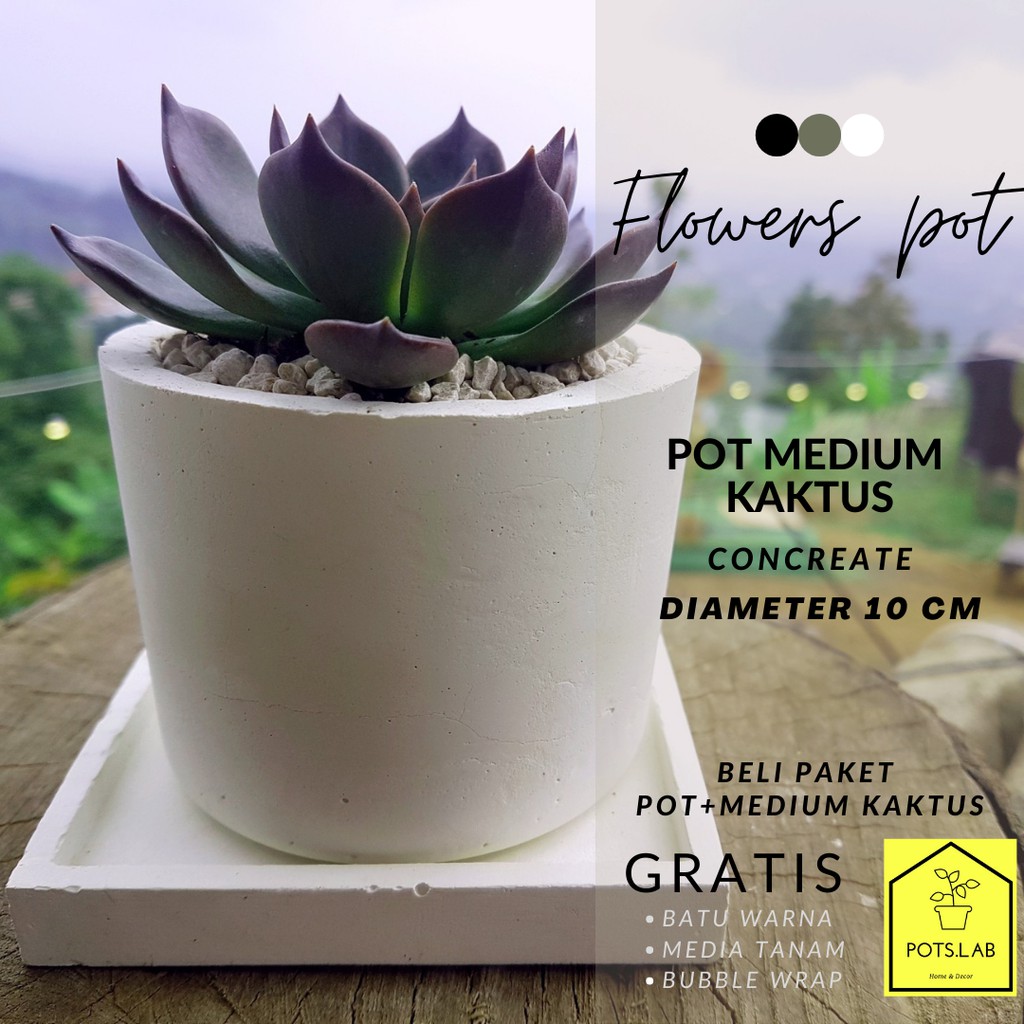Jual Paket Pot Sukulen / Kaktus Medium 10 cm Bisa paket Gratis Media ...
