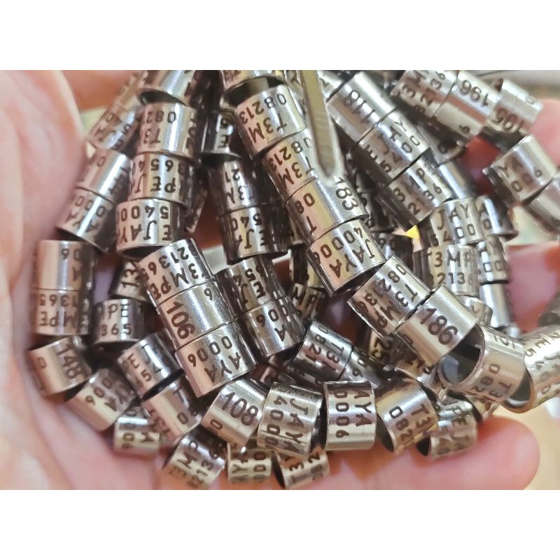 Jual RING MERPATI BAJA LASER ASLI ANTI POTONG KUAT BERKUALITAS | Shopee ...