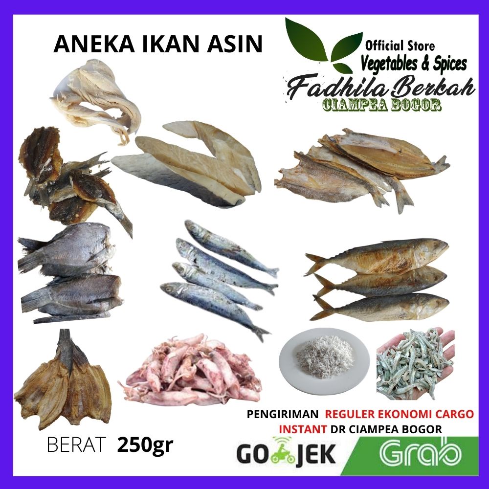 Jual aneka Ikan asin hemat murah COD ekonomis 100gr Cumi Asin Gabus ...