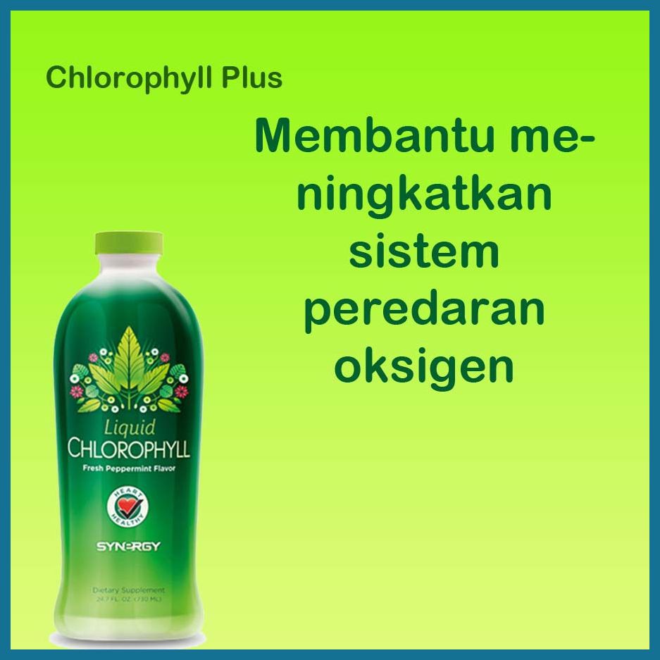 Jual Obat Vertigo Terbaik - Chlorophyll + Colostrum | Shopee Indonesia