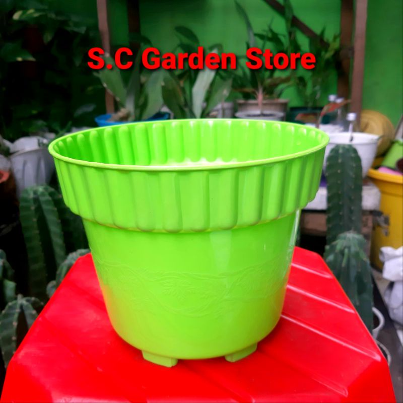 Jual POT BUNGA TERATAI CR 20 SUN FLOWER HIJAU MUDA | POT TANAMAN | POT ...