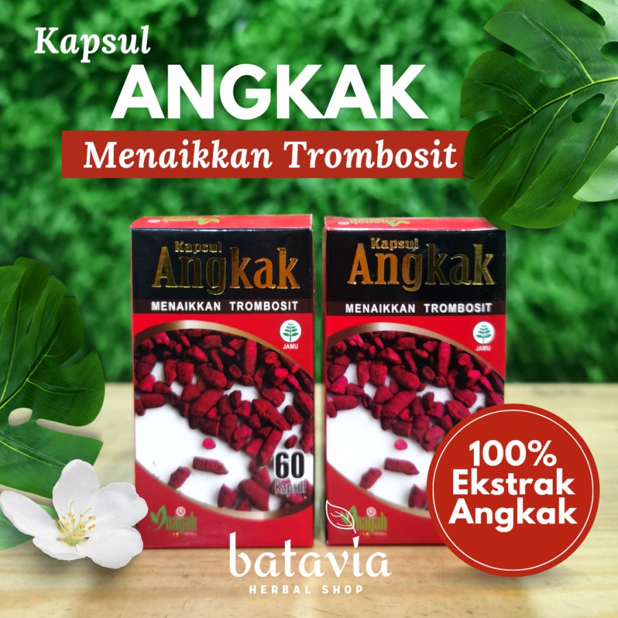 Jual Kapsul Angkak Ekstrak Beras Merah Red Yeast Rice Angkak Trombosit ... Jual Kapsul Angkak Ekstrak Beras Merah Red Yeast Rice Angkak Trombosit ...