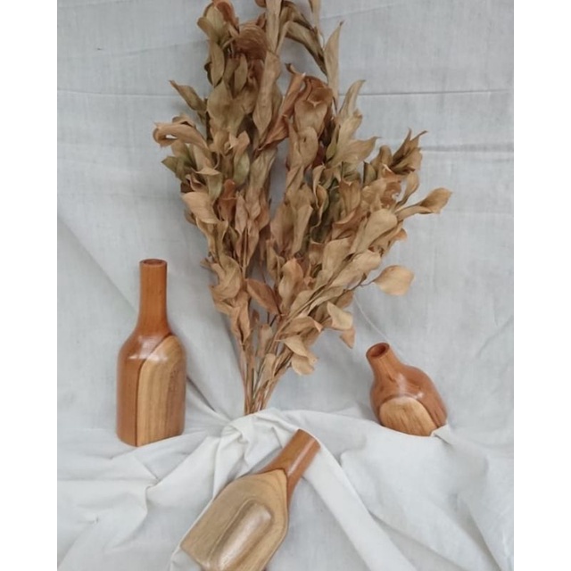 Jual Dried Ruscus Leaves /Daun Ruscus Kering / Dried flower / Bunga ...