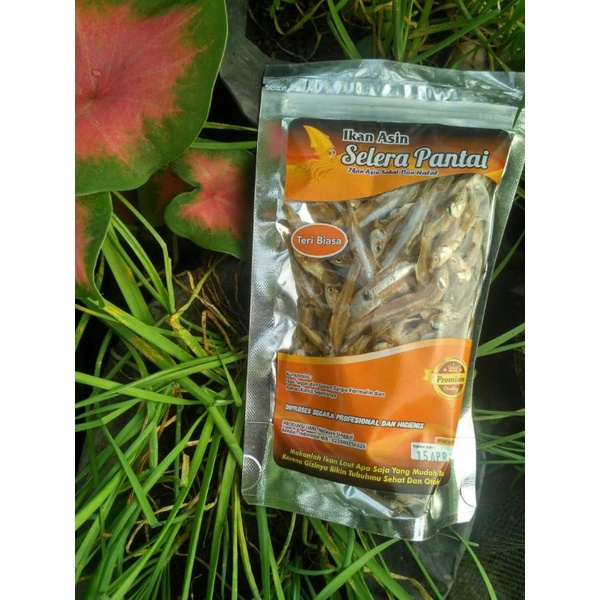 Jual teri biasa ikan asin selera pantai produk seafood kering | Shopee ...