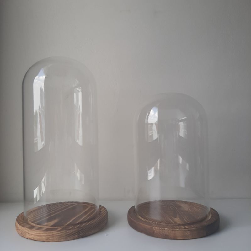 Jual glass dome kaca bunga kering preserved flower | Shopee Indonesia