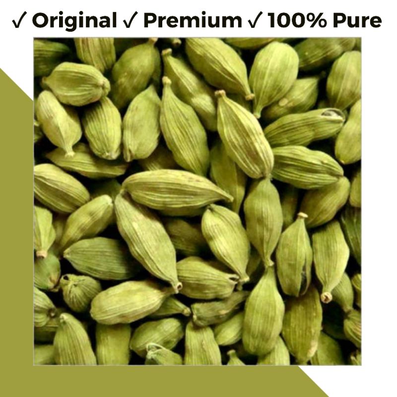 Jual Kapulaga Hijau Utuh 1 gram Premium Kapulaga India Kapulaga Bumbu ...