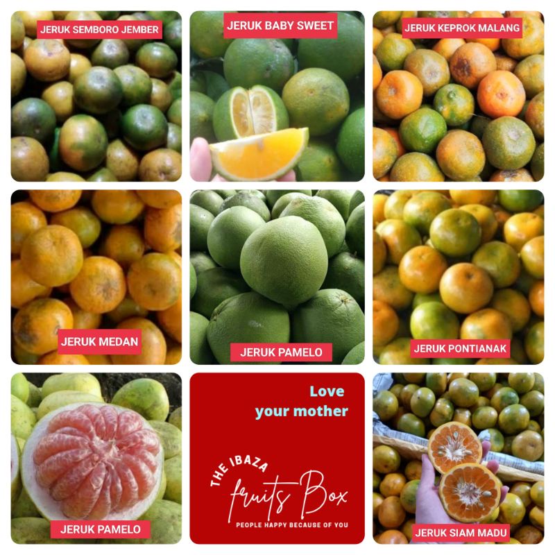 Jual Buah Jeruk Lokal Indonesia Jeruk Medan/ Jeruk Pontianak/ Jeruk ...