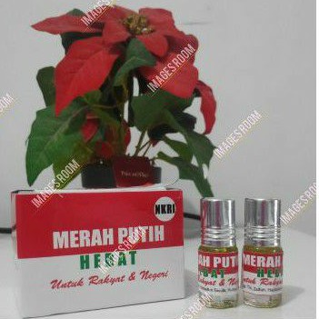 Jual Minyak Merah Putih Hebat Ampuh Mengatasi Covid19 dan Menaikkan ...