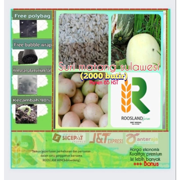 Jual Benih bonteng suri sulawesi matang ( 2000 butir) | Shopee Indonesia