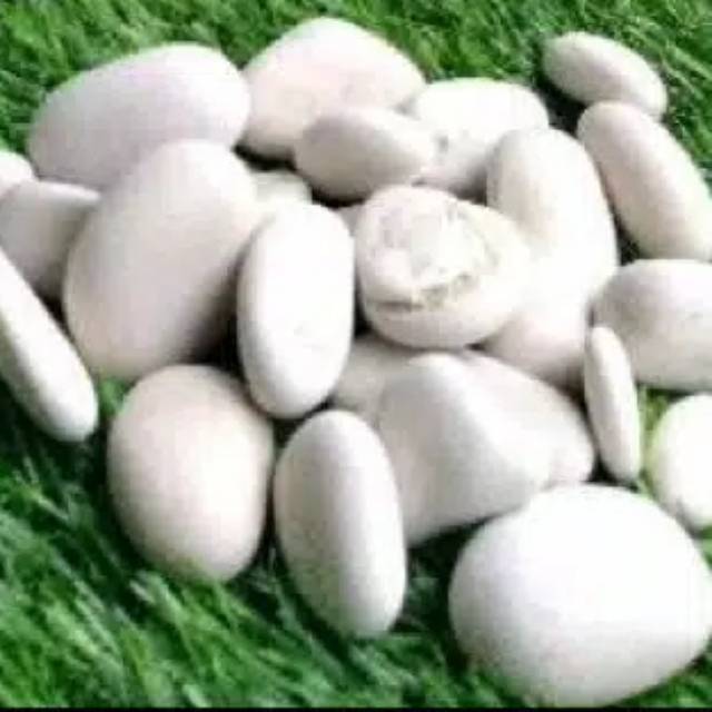 Jual Batu coral putih/repack 1kg | Shopee Indonesia