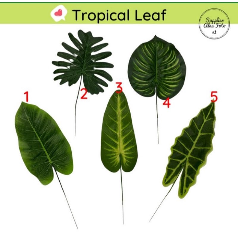 Jual daun palsu properti props foto / tropical leaf artificial plastik ...